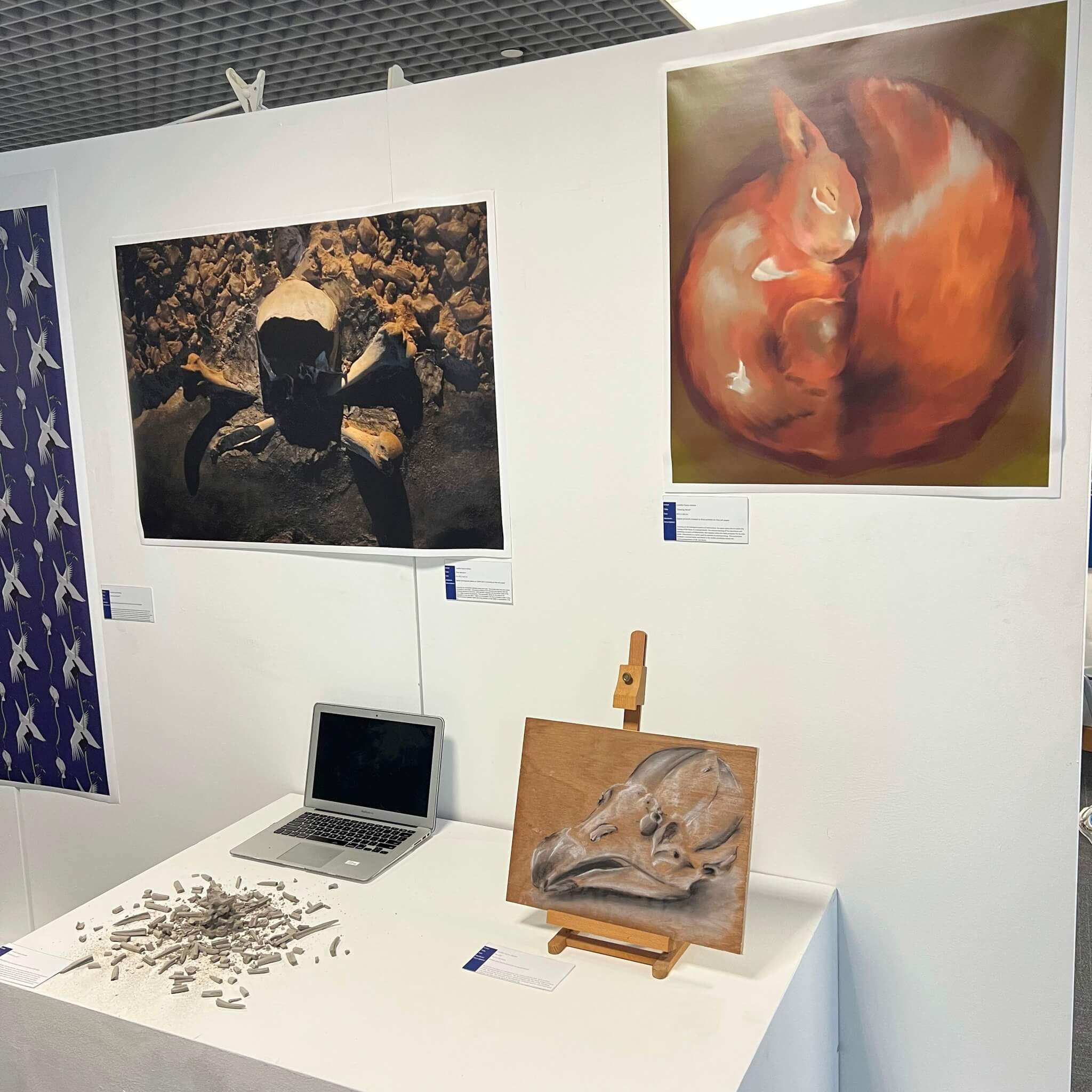 Grade 12 IBDP Visual Art Final Exhibition | Stamford American ...